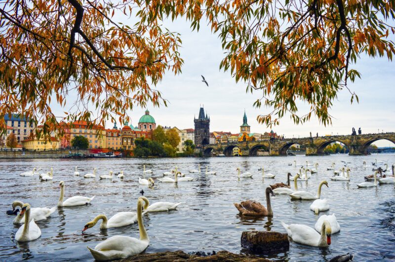 Ultimate Guide: the Best Prague Tours, According to a Local ...