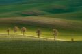 The Moravia Wine Region: A Local's Complete Guide to Wineries, Towns ...